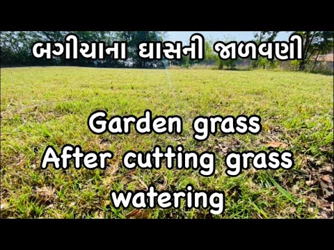 Water Grass After Cutting