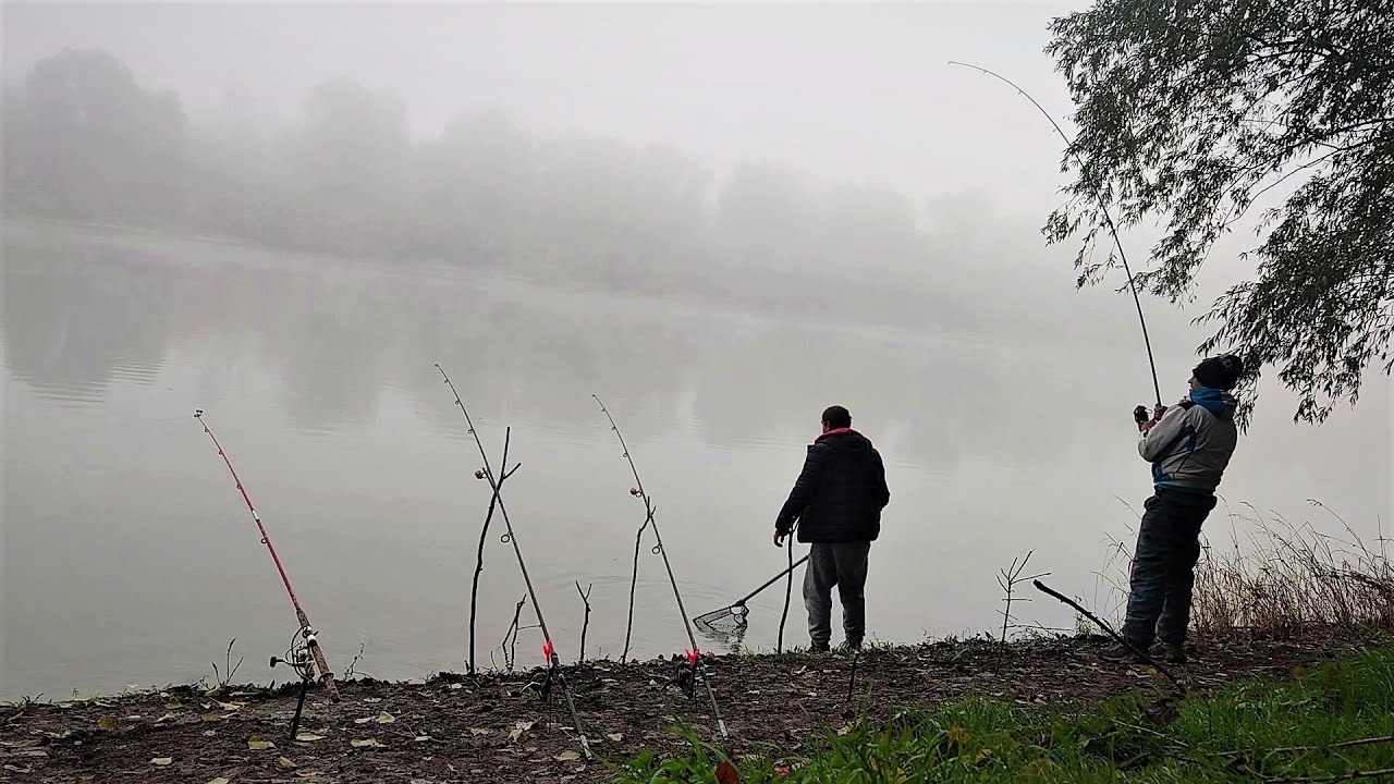 Neplanirano pecanje na Tisi, nespavanje, nagradica i na kraju muka ...
