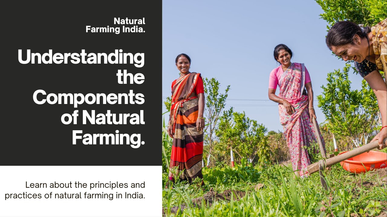 Understanding the Components of Natural Farming.| - YouTube