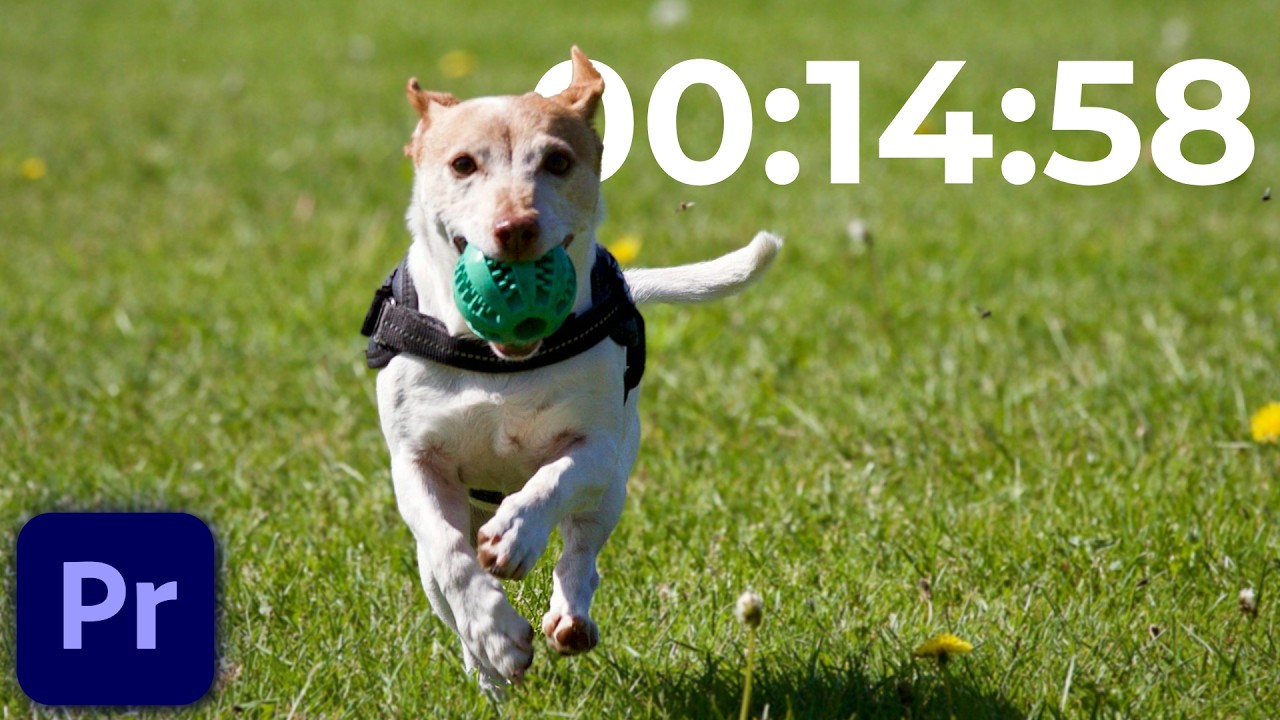 Faire un TIMER Sur Premiere Pro - YouTube
