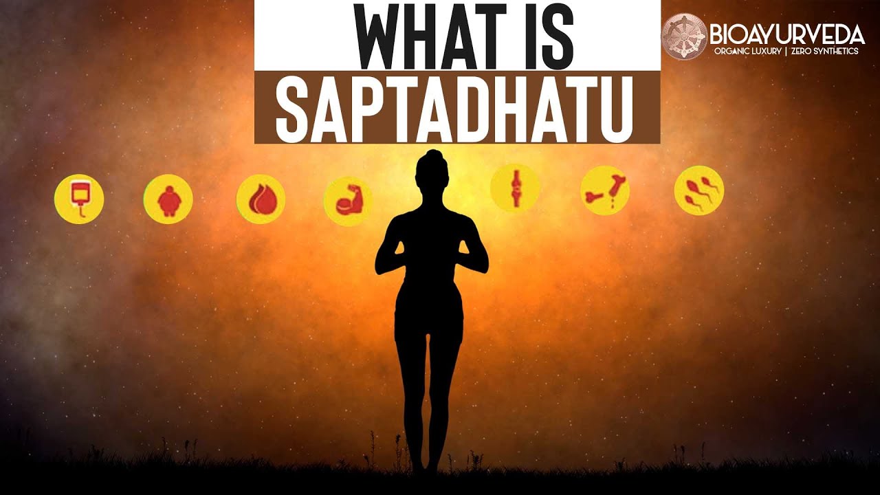 WHAT IS SAPTA DHATU & THE EFFECT OF SAPTA DHATU ON OUR BODY - YouTube