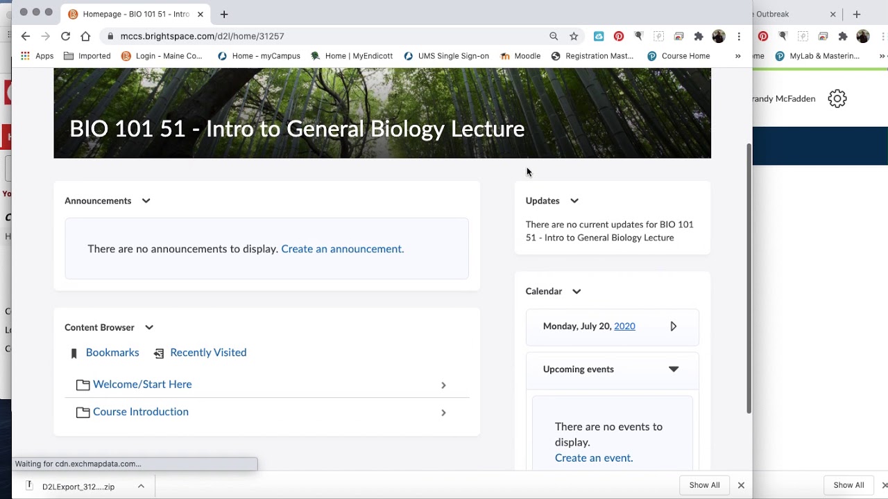 Exporting Importing Content in Brightspace - YouTube
