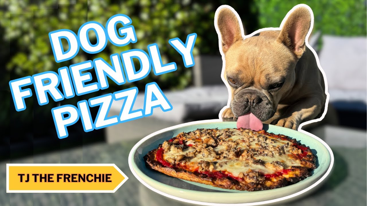 DIY Pizza For Dogs | Dog Friendly Pizza | DIY Dog Treats | Homemade Dog ...