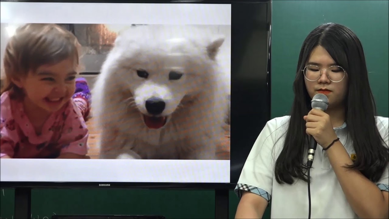 이주화어학원 TED발표 중3 YJ Song_수의사 - YouTube