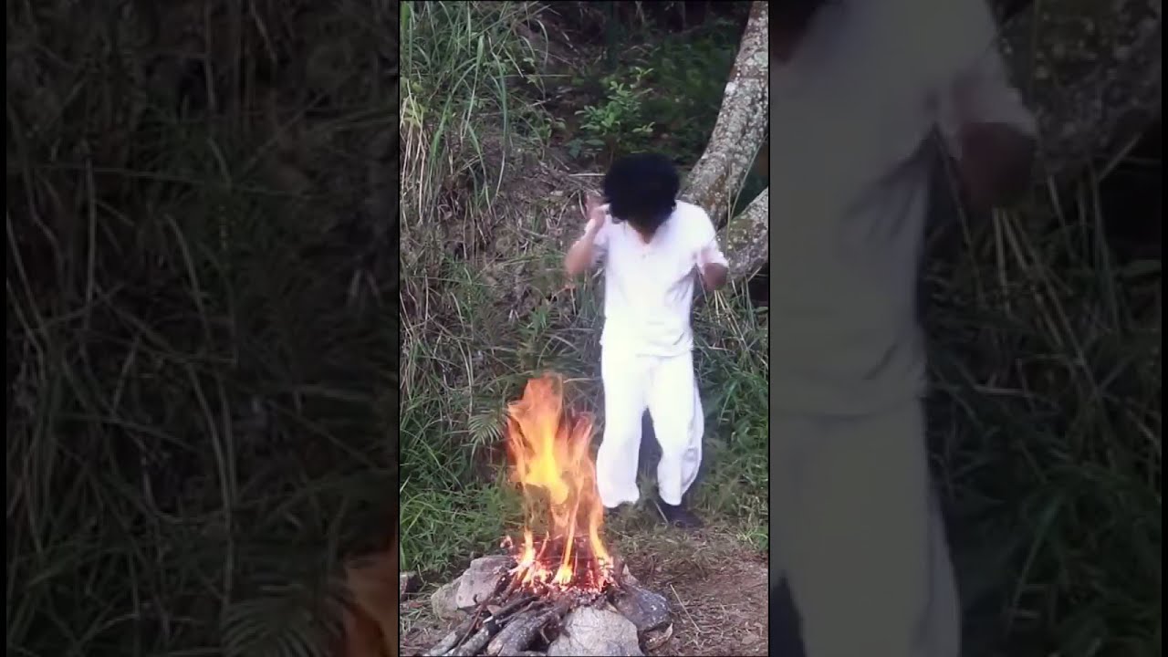 Primitive Mukbang Wild Cooking, Primitive Cooking Idea, #shorts # ...