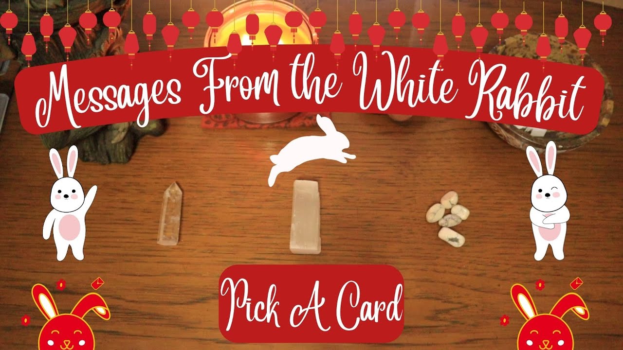 🐇Messages from the White Rabbit🐇 Detailed Messages🎆🎉 Timeless Pick A ...