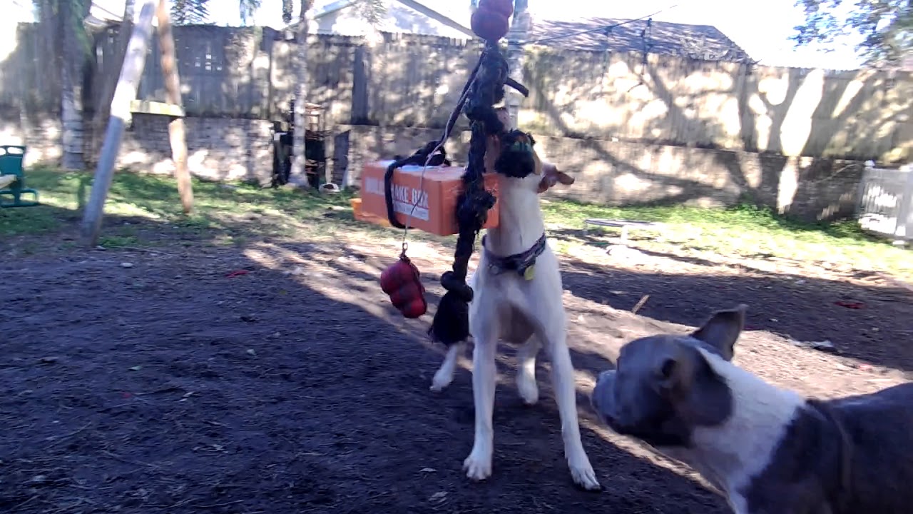 Unedited December BullyMake subscription Box | Unboxing Video 1/4 - YouTube