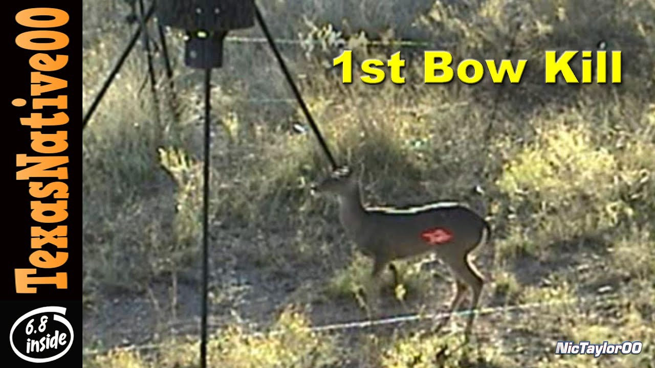 First Deer Killed with a Compound Bow - YouTube