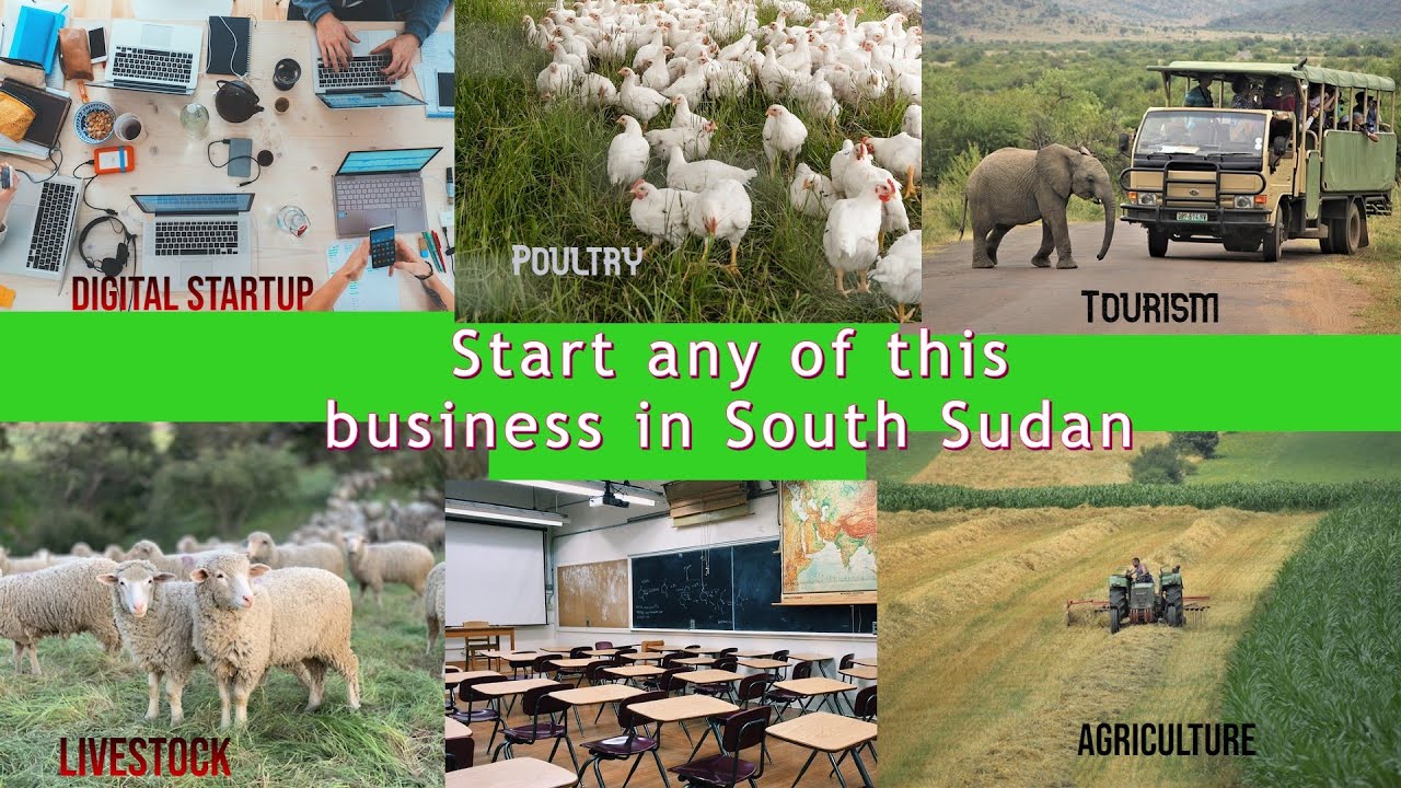 The Best 5 Reasons To Start Your Business in South Sudan for Expats and ...