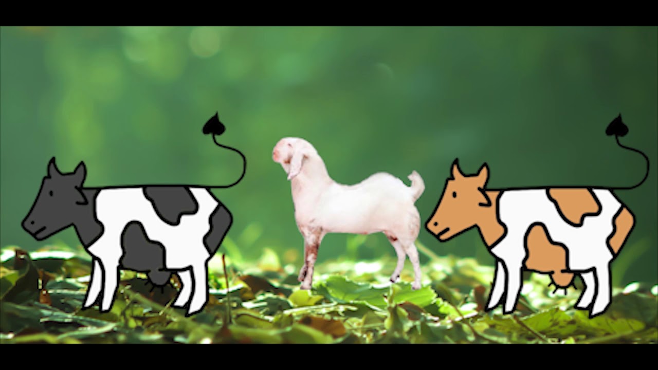 Mooving Experience (Collab with Sprinting Snail Studios) - YouTube