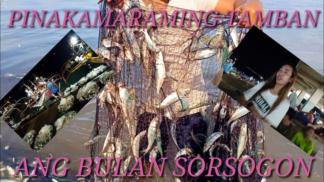 TAMBAN NA ISDA SA BULAN TINATAPON LANG | FISH PORT OF BULAN SORSOGON ...