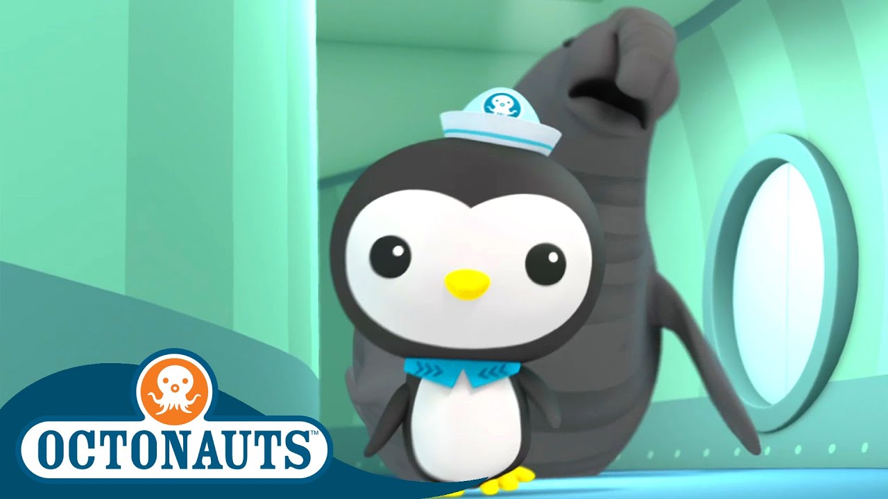 Octonauts - The Enormous Elephant Seal & Walrus Chief | Cartoons for ...