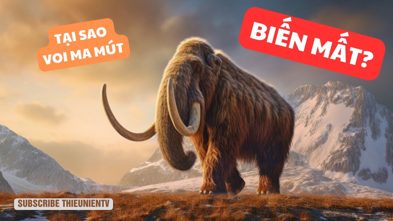 TẠI SAO VOI MA MÚT BIẾN MẤT? I THIEUNIENTV - YouTube