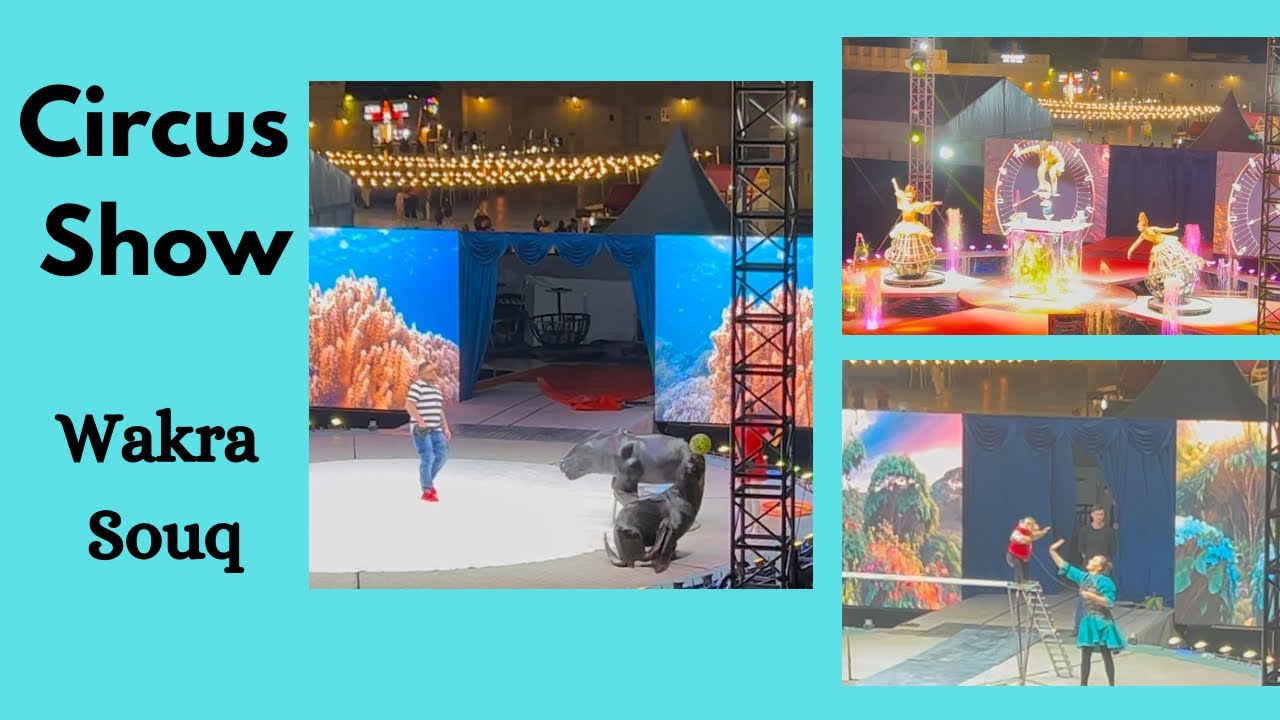Wakra Souq Circus Show|Circus Show Qatar|Seal in Circus|Monkey In ...