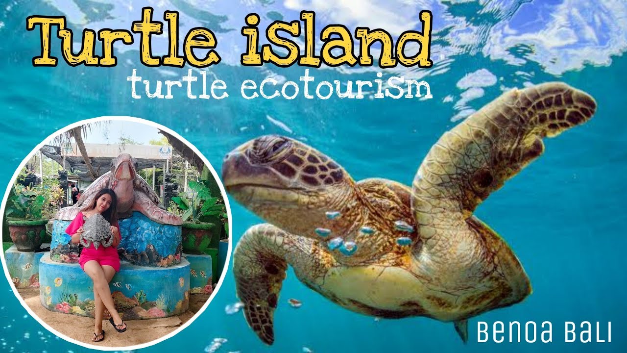 Turtle Island tour in Tanjung Benoa Bali | turtle Ecotourism Bali 2022 ...