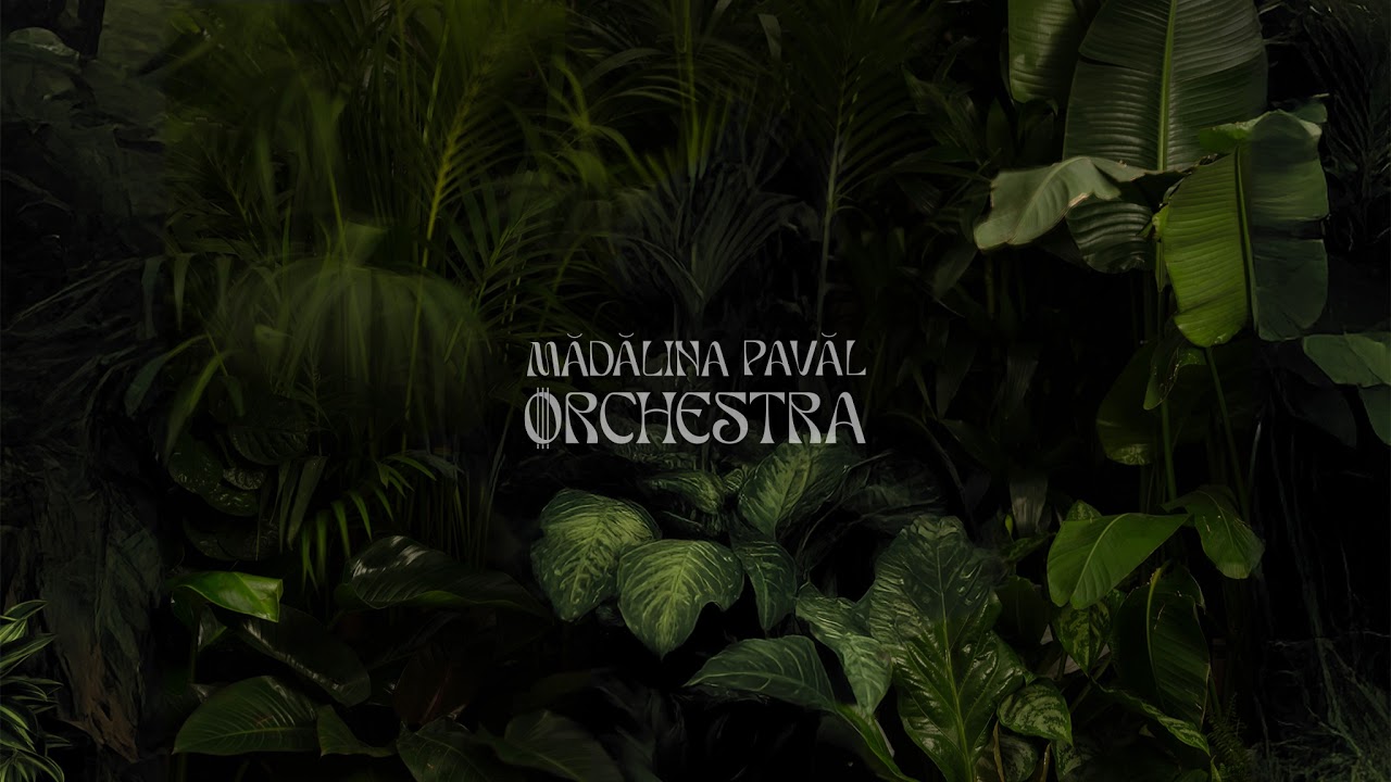 Live la cafea, la Boiler x Guido - YouTube