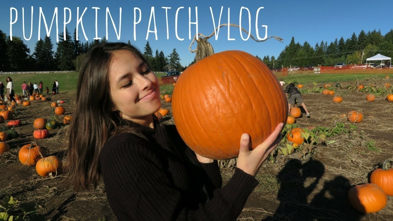 Pumpkin Patch Vlog 2017 - YouTube