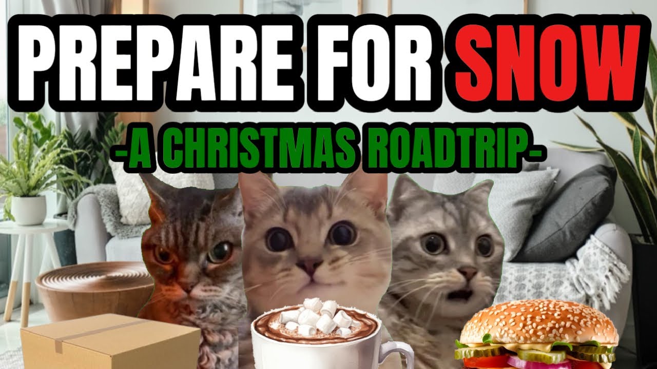 Cat MEMES: PREPARE FOR SNOW - YouTube