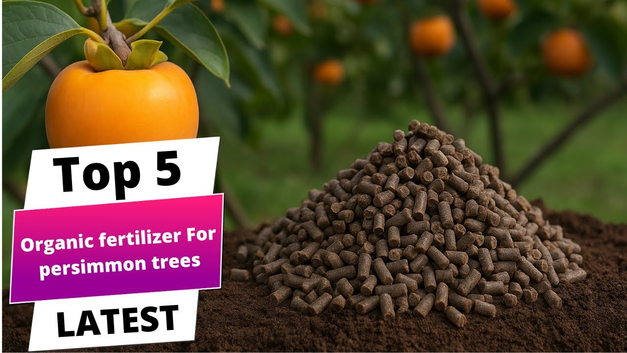 Best organic fertilizer for persimmon trees : Fertilizer for persimmon ...