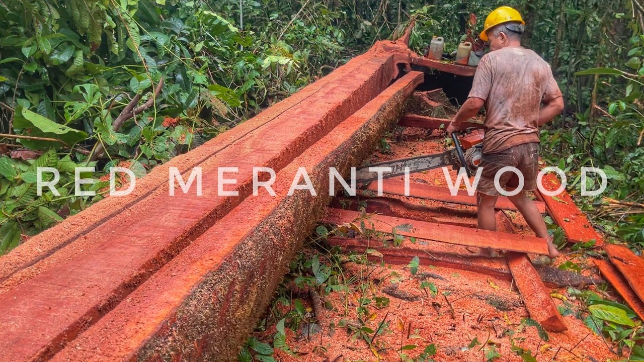 PENGERJAAN KAYU MATOA MENJADI PAPAN DAN BALOK // STIHL MS 382 & STIHL ...