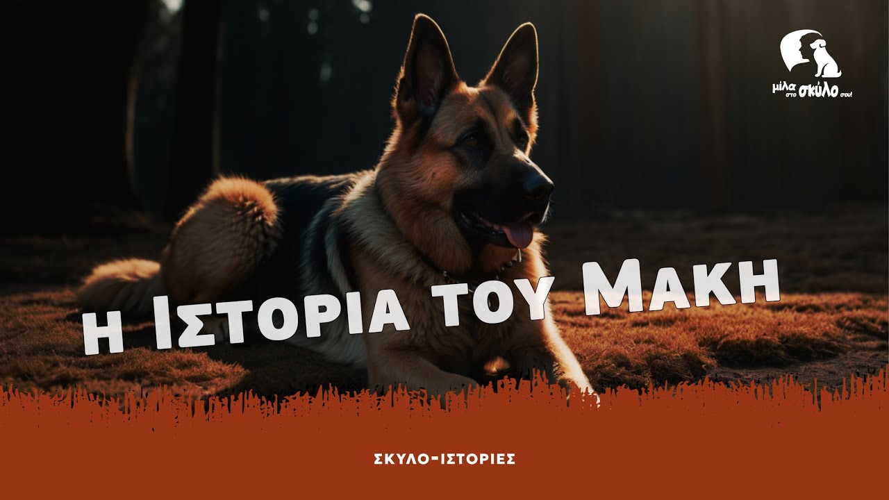 Η ιστορία του Μάκη | ΜΙΛΑ ΣΤΟ ΣΚΥΛΟ ΣΟΥ - YouTube