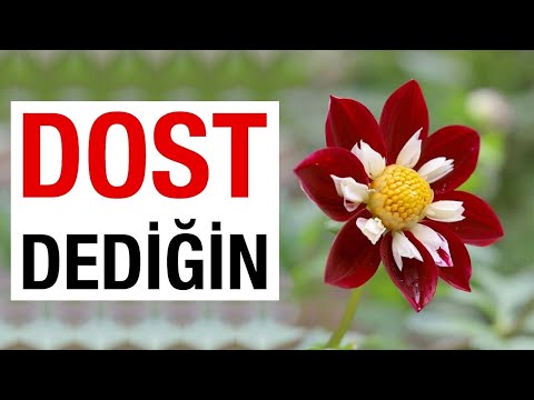 Dost Dediğin - Eski Dostluklar Kaldı mı?