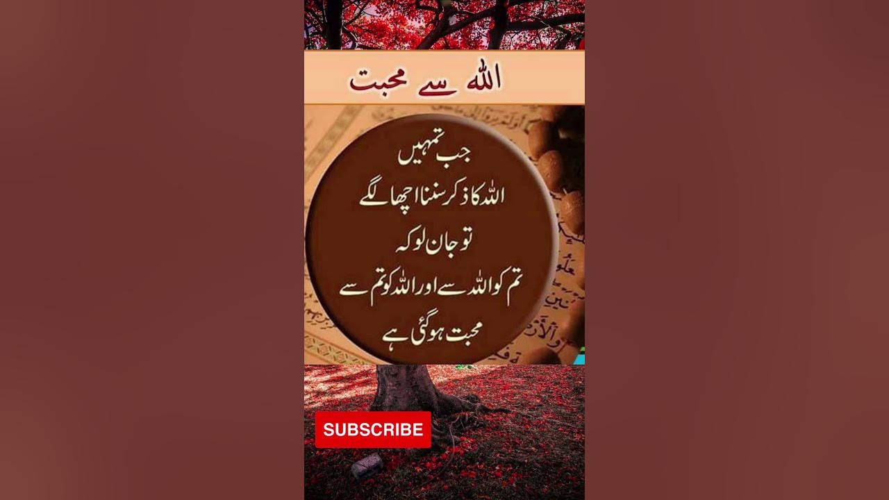 Allah Se Mohabat Youtubeshorts Ytshorts Youtube Youtube