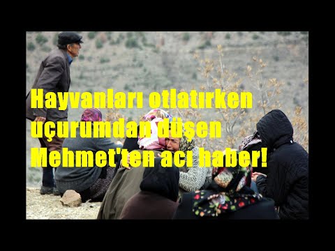 Hayvanları otlatırken uçurumdan düşen Mehmet'ten acı haber!
