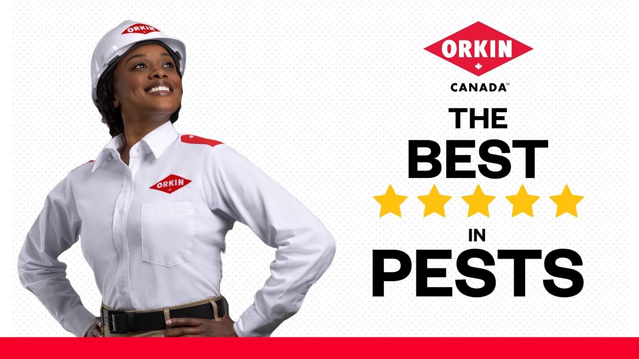Trust the Best In Pests | Orkin Canada - YouTube
