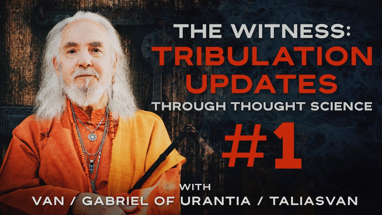 The Witness: Tribulation Updates #1 - Through Thought Science | Van ...