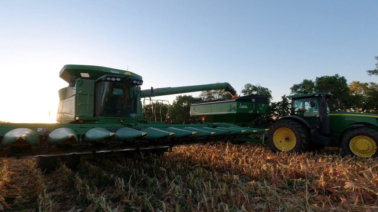 Harvest is Here For Sonne Farms - YouTube