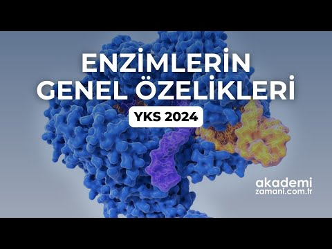 Enzimlerin Genel Özellikleri | TYT Biyoloji | yks2024 #yks #tyt #ayt #biyoloji