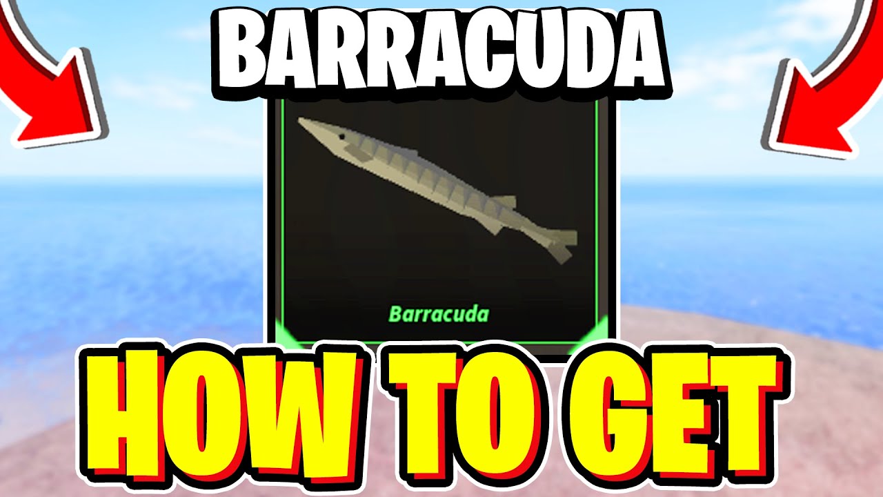 How To CATCH BARRACUDA In Fisch! Roblox - YouTube