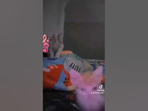 Phwe Sein & Chwel Lay Tiktok - YouTube