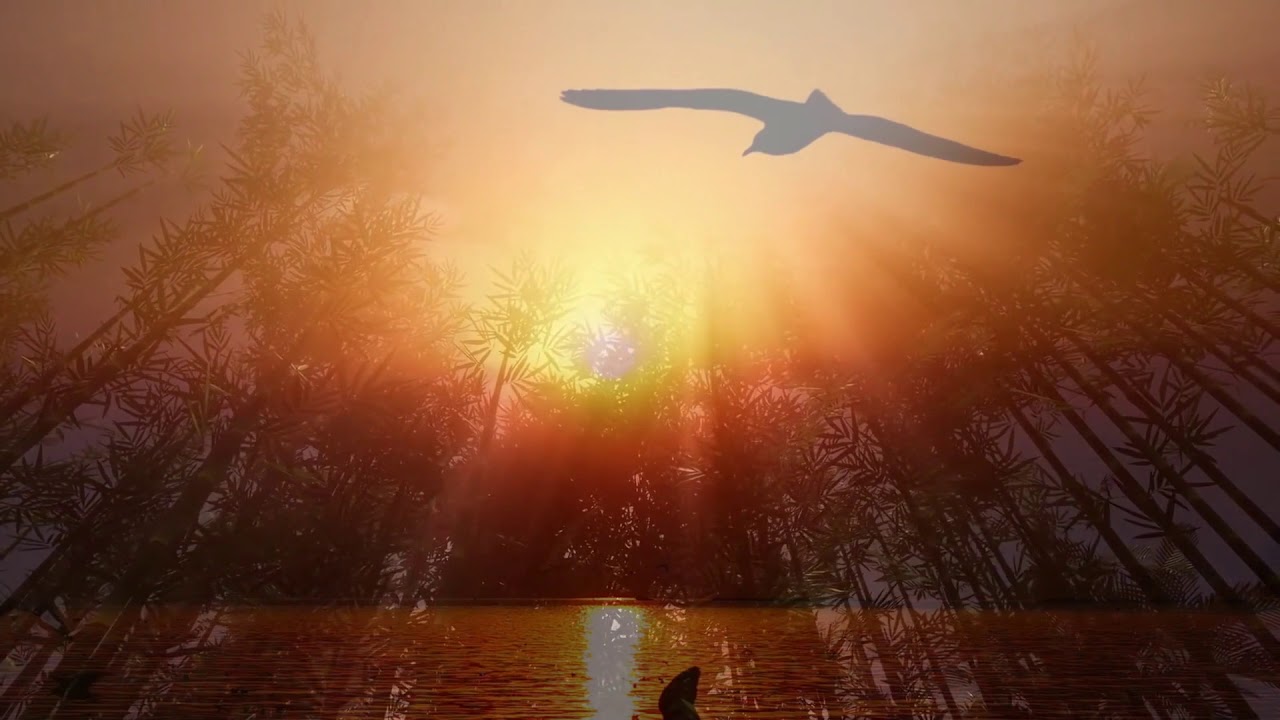 Missing - Vangelis - YouTube