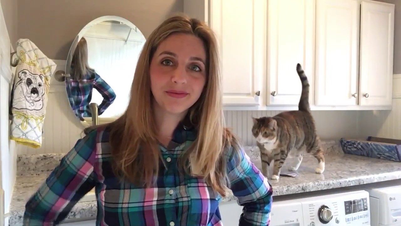 Pet Cat Blooper Outtake from Video Project - YouTube