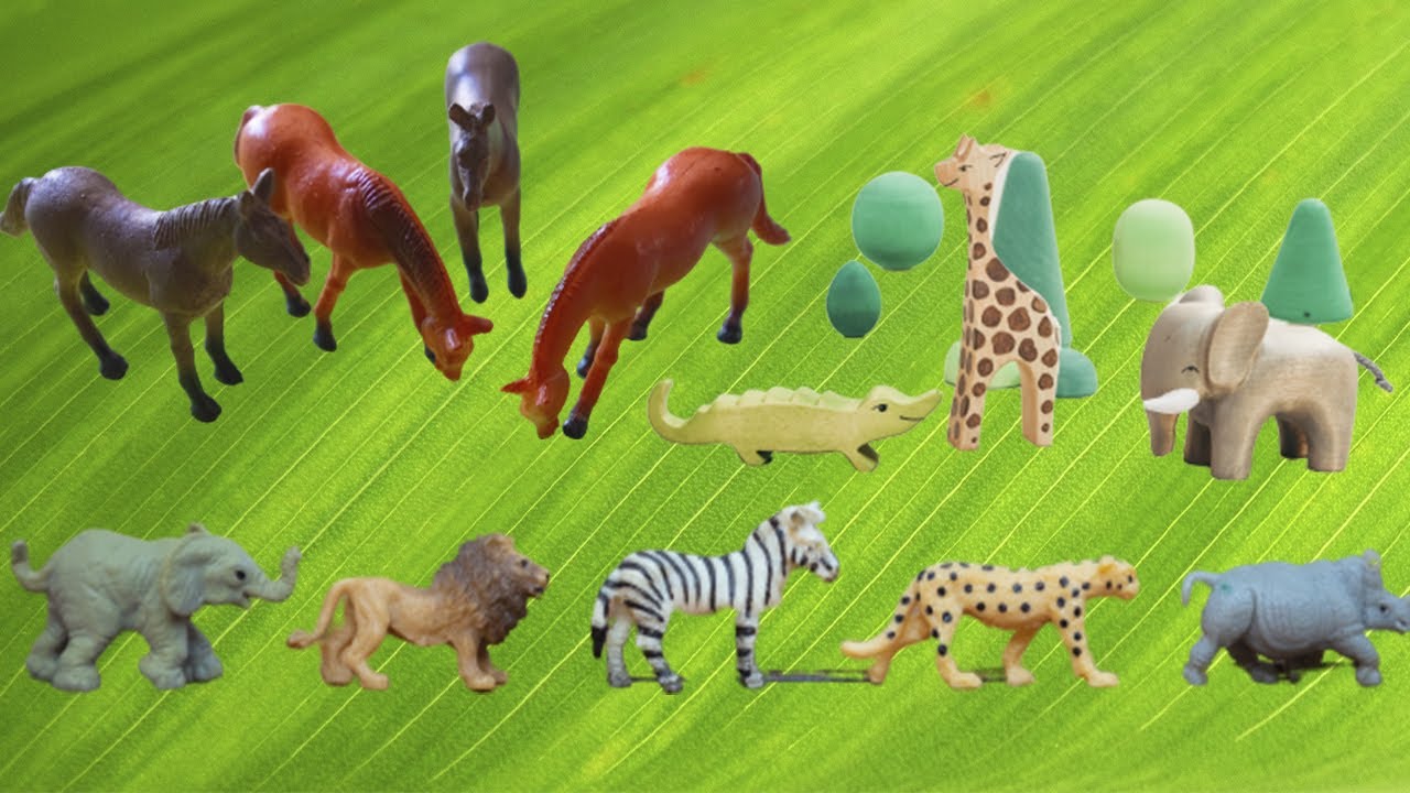 AMAZING and CUTE ANIMALS - ZEBRA, GIRAFFE, DOLPHIN, HORSE - YouTube