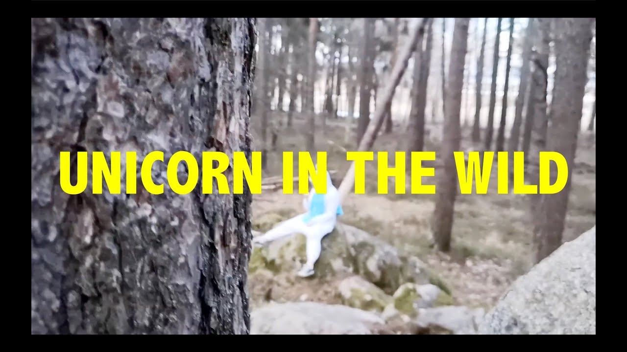 UNICORN SPOTTED IN THE WILD - YouTube