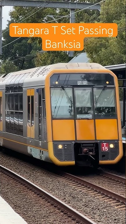 Tangara T Set Passing Banksia #shorts #subscribe #foryou #trending #viral #travel #fyp - YouTube