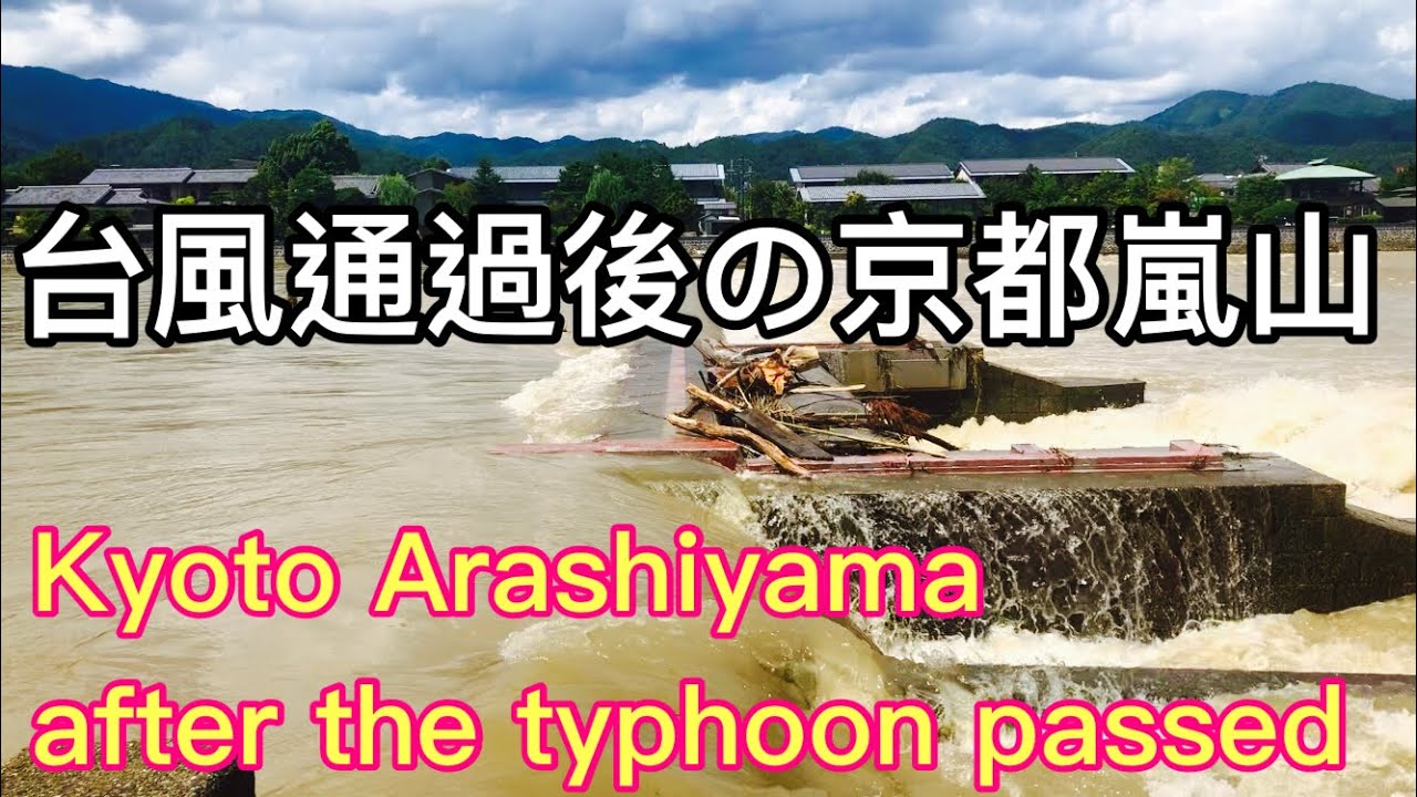 2023年8月16日(水) 台風通過後の京都嵐山🌀 Kyoto Arashiyama after the typhoon passed ...