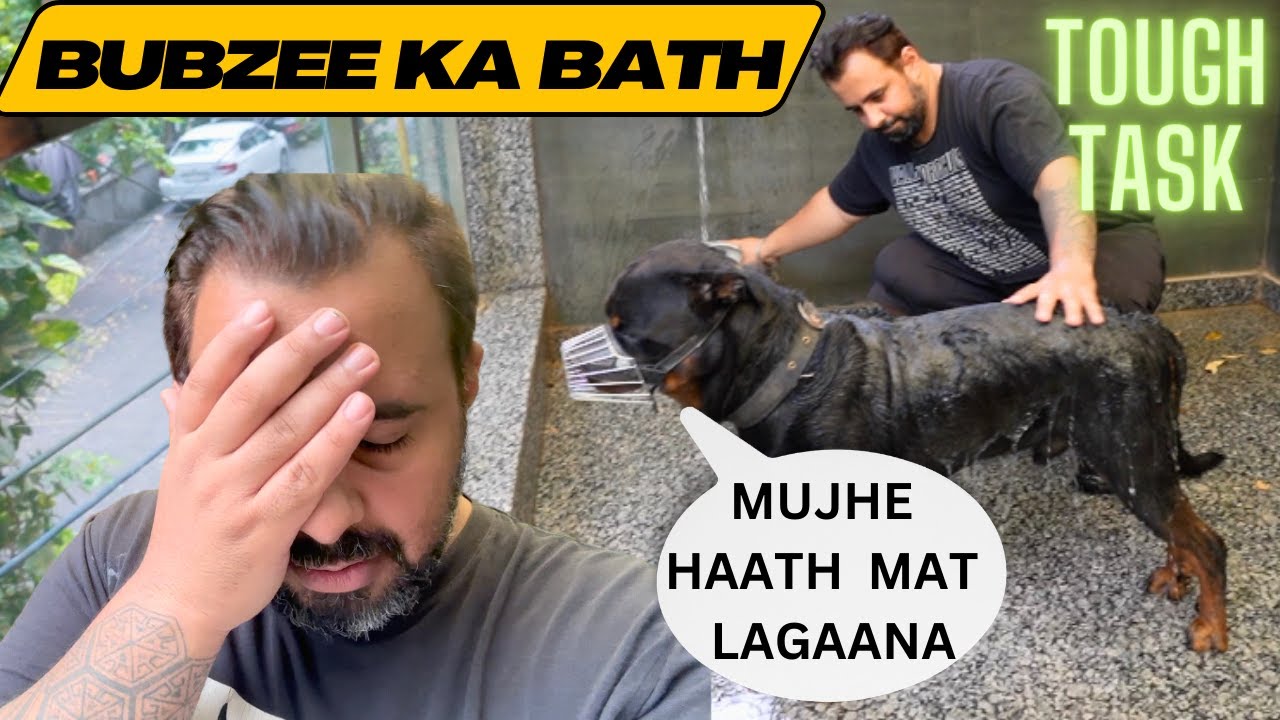 Male Rottweiler Bubzee Ko Bath Hua Bohot Mushkil: Bubzee Becomes ...
