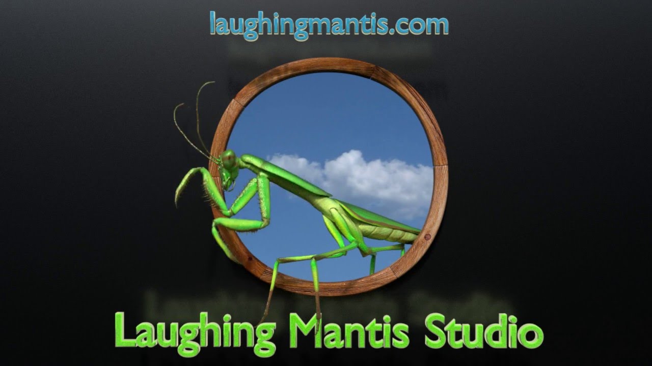 Laughing Mantis Studio Animated Intro - YouTube