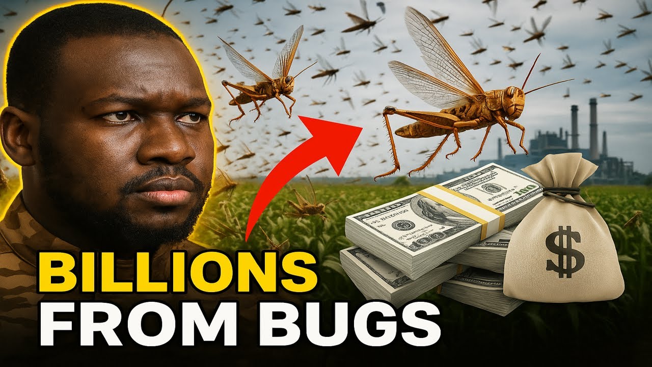 Ibrahim Traoré’s Shocking Locust Farming Project Billions Raised for ...