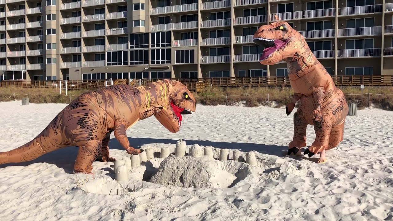 TRex Sand Castle Slap Fight - YouTube