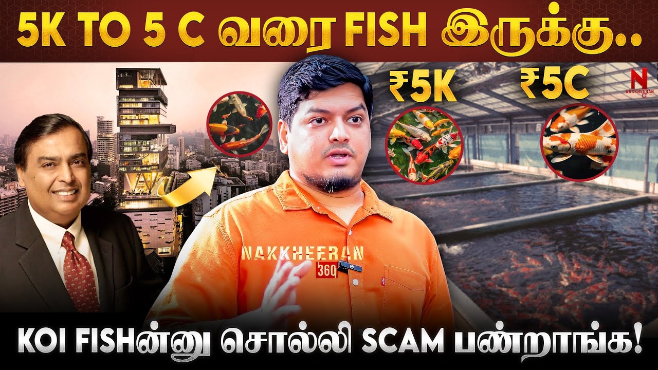 🐟அம்பானி வீட்டுக்கு Koi Fish கொடுத்திருக்கேன்! | Koi Fish | Scam | Fish ...