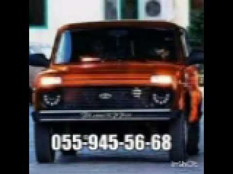 MEQABEZ  ALİNA TİKİN CEVAP CINANANA