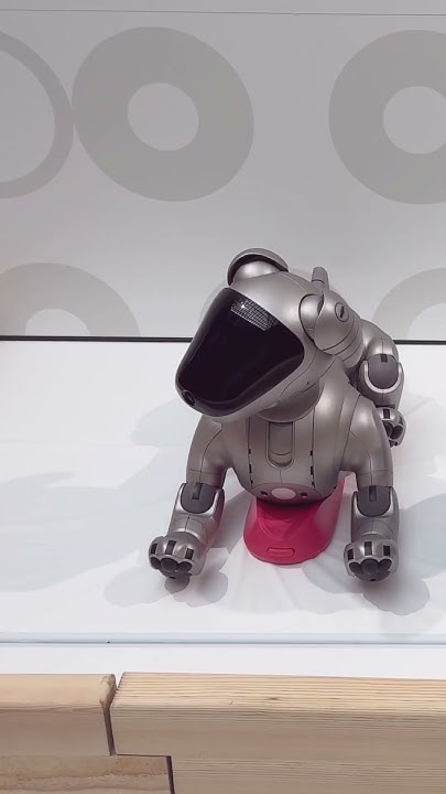 お疲れの25周年モデルaibo‼︎ #aibo #aibo25周年モデル #aibo犬ごん - YouTube