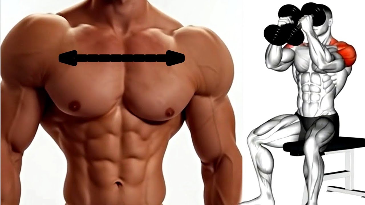 Best Front Delt Side Delt and Rear Delt Exercises for Building for ...