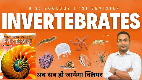 Invertebrates Simplified 🐛🦐🦀 | B.Sc. Zoology 1st Year (Complete Course ...