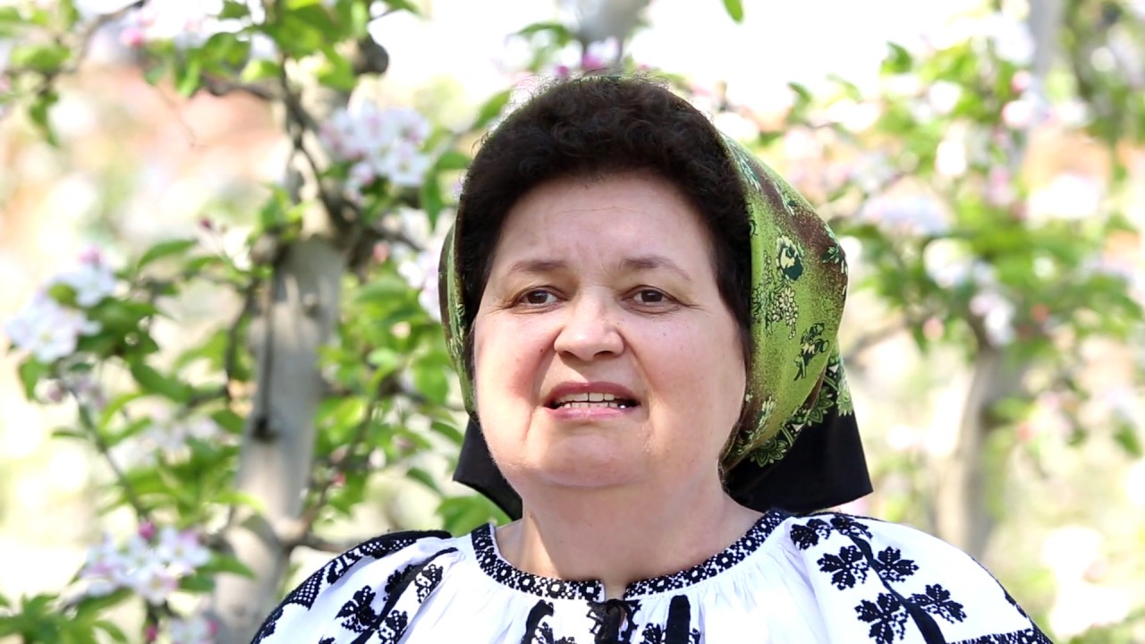 Aurica Murasan - Ramuri de finici - YouTube